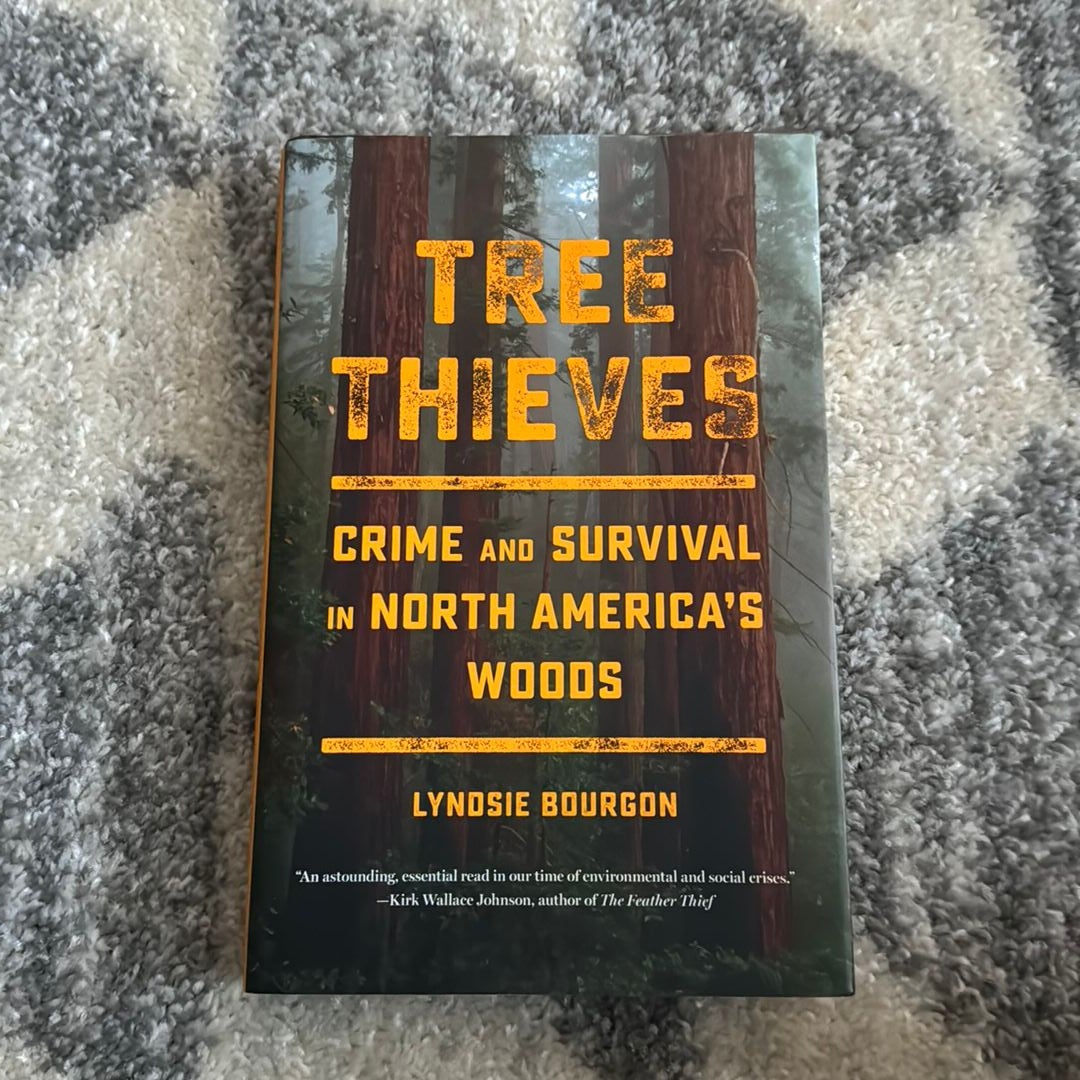 Tree Thieves by Lyndsie Bourgon, Hardcover | Pangobooks