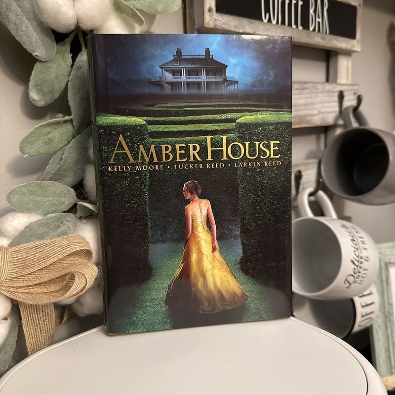 Amber House by Kelly Moore, Hardcover | Pangobooks