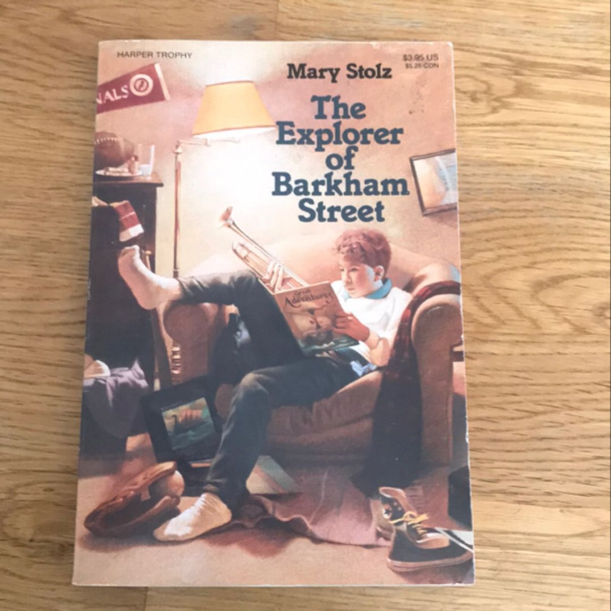 The Explorer of Barkham Street by Mary Stolz