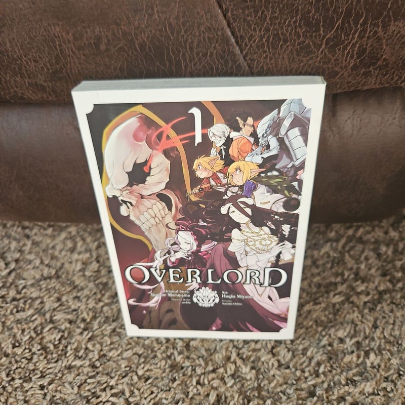 Overlord, Vol. 1 (manga) by Kugane Maruyama, Hugin Miyama, so-bin ...