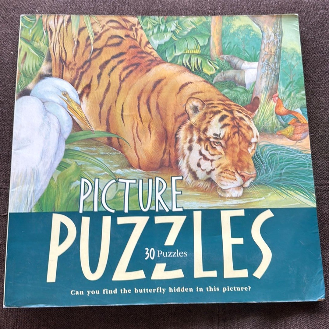 Picture Puzzles by Templar, Paperback | Pangobooks
