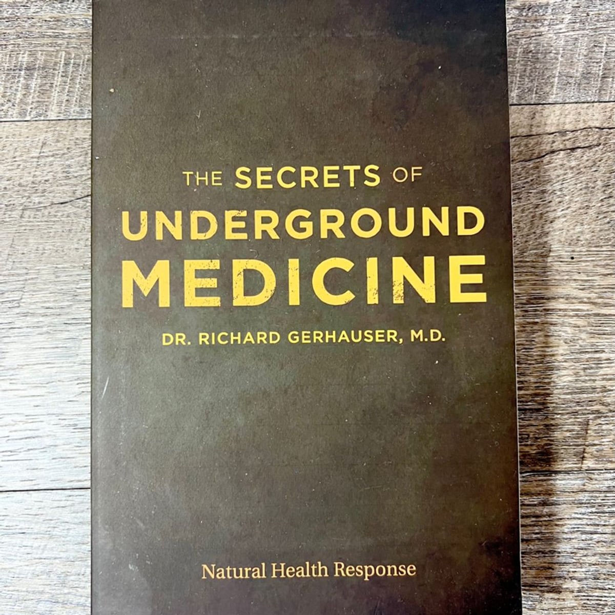 The Secrets of Underground Medicine by Dr Richard Gerhauser , Paperback ...