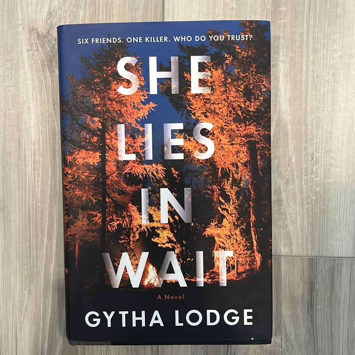 She Lies in Wait by Gytha Lodge, Hardcover | Pangobooks