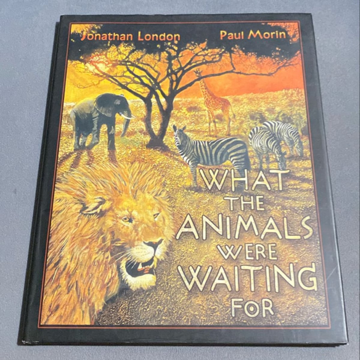 What the Animals Were Waiting For by Jonathan London