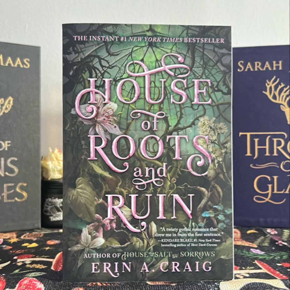 House of Roots and Ruin by Erin A. Craig