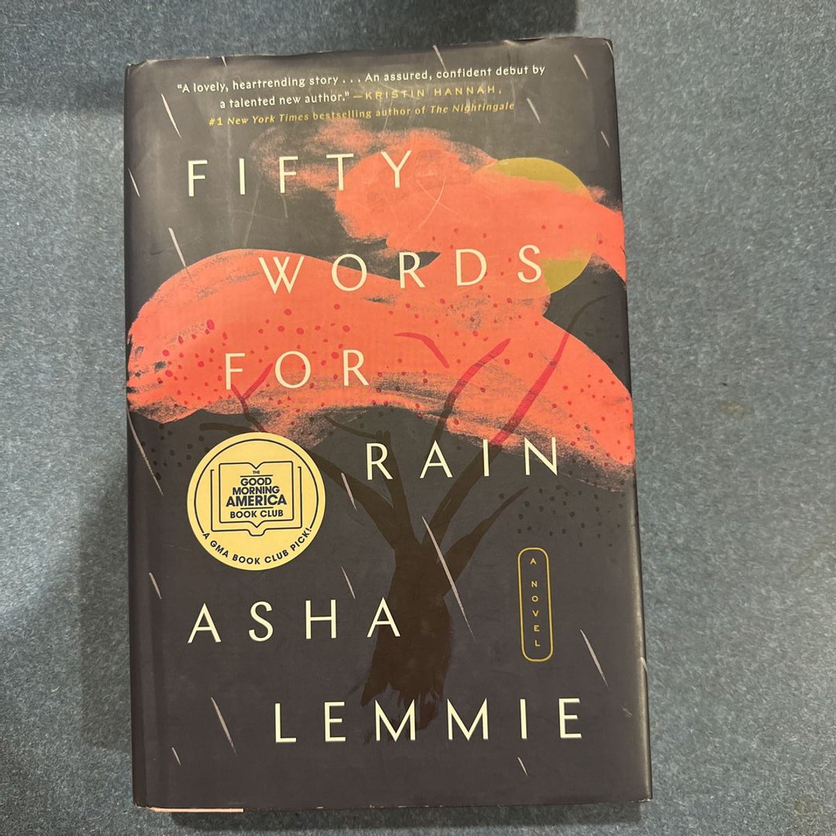 Fifty Words for Rain by Asha Lemmie