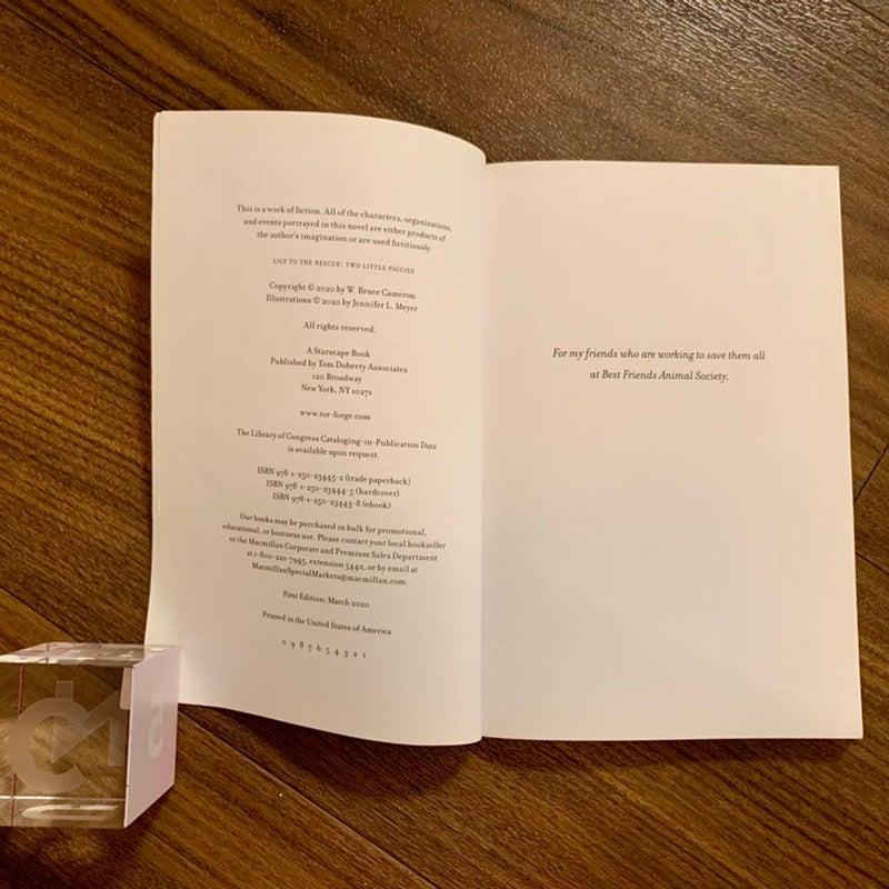 Lily to the Rescue: Two Little Piggies