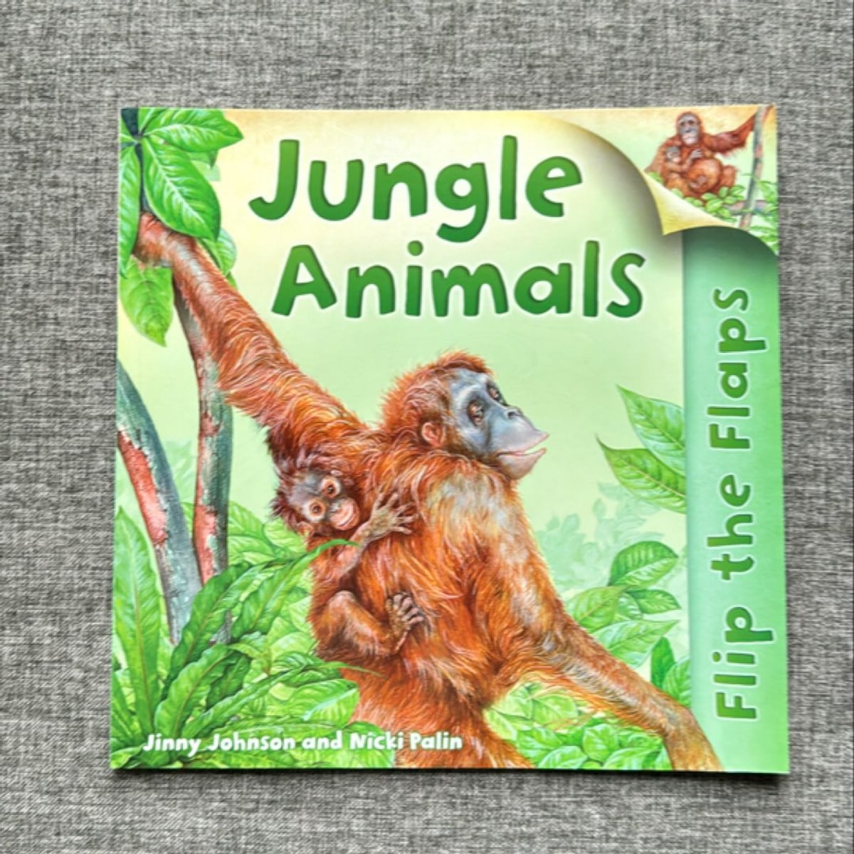 Flip the Flaps: Jungle Animals by Hannah Wilson