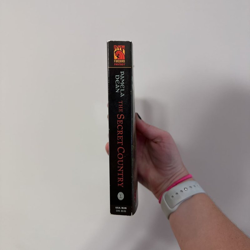 The Secret Country by Pamela Dean