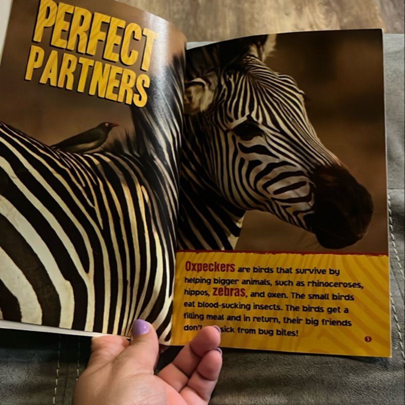 Odd Animal Helpers by Gabrielle Reyes; Joanne Ruelos, Paperback ...
