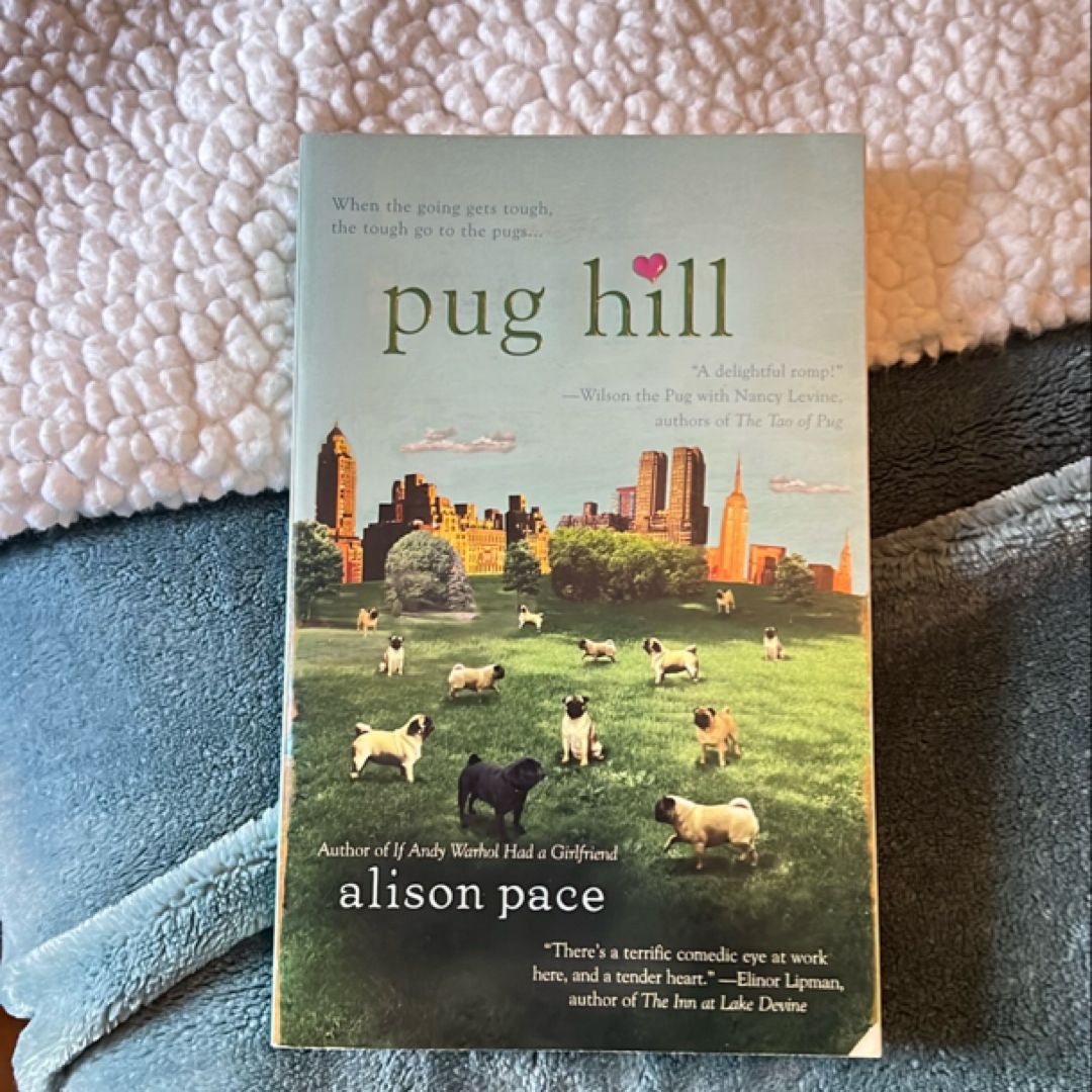 Pug Hill by Alison Pace