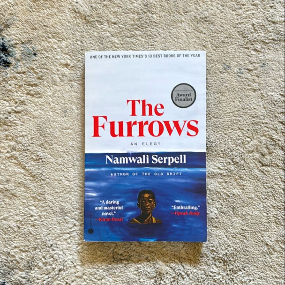 The Furrows by Namwali Serpell