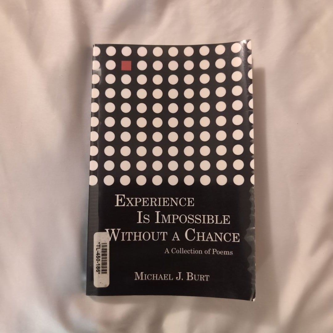 Experience Is Impossible Without a Chance by Michael Burt