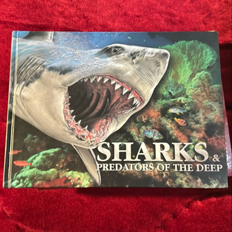 Sharks and Other Creatures of the Deep by Susan Barraclough