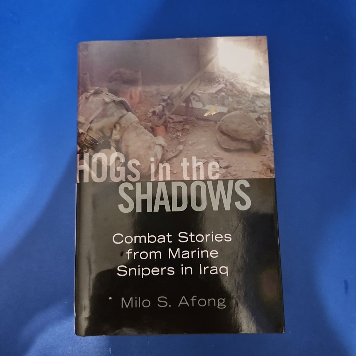 Hogs in the Shadows by Milo S. Afong