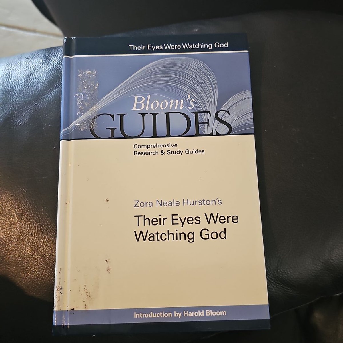 Zora Neale Hurston's Their Eyes Were Watching God by Harold Bloom