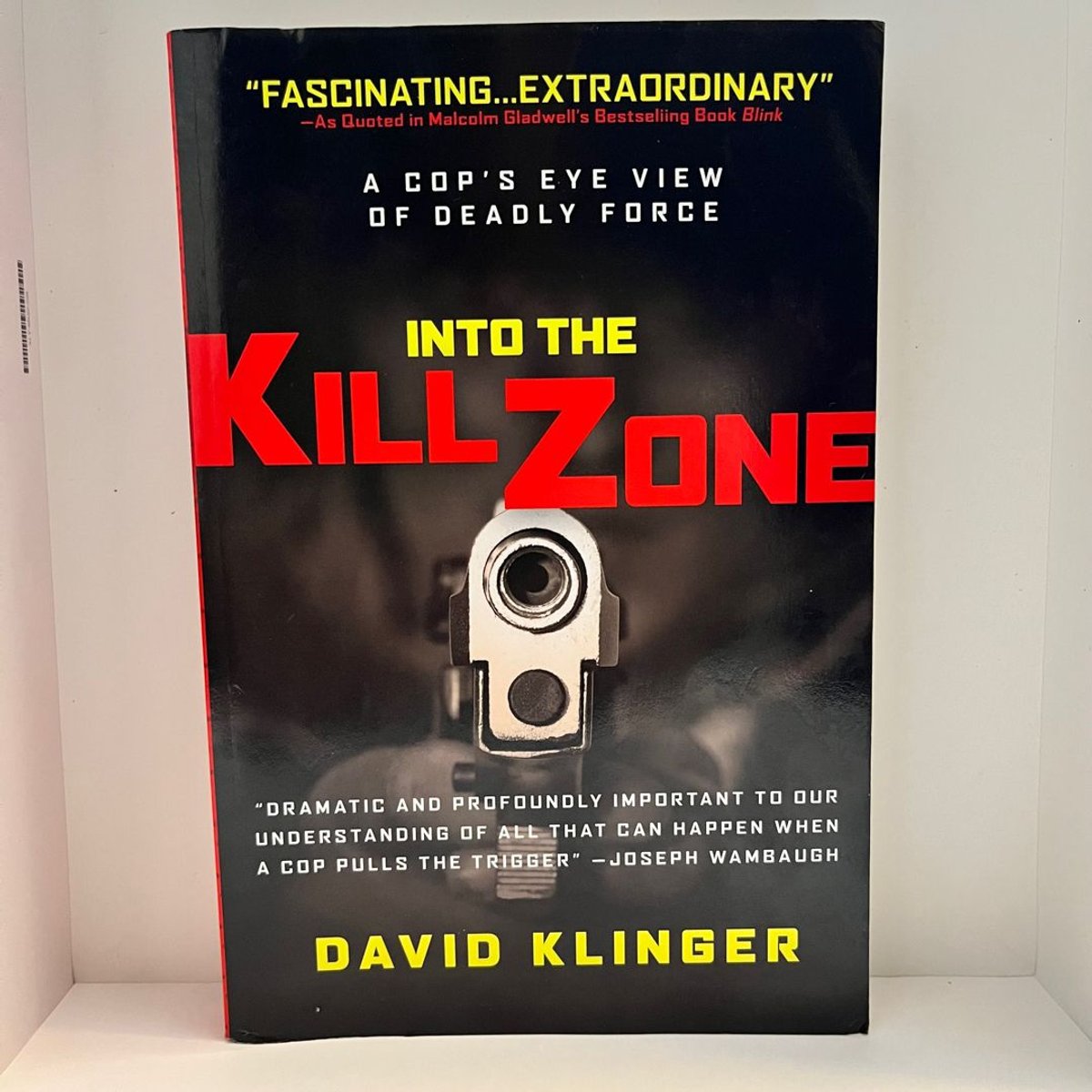Into the Kill Zone by David Klinger