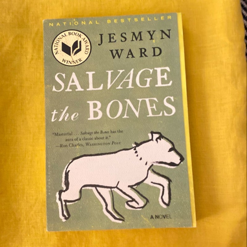 Salvage the Bones by Jesmyn Ward