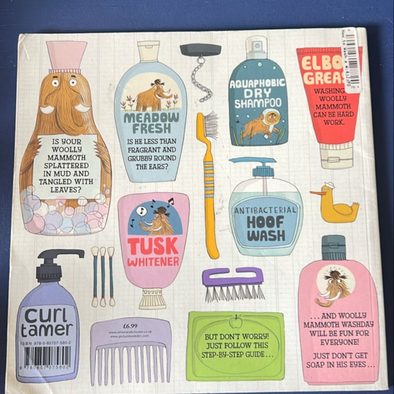 How to Wash a Woolly Mammoth by Michelle Robinson