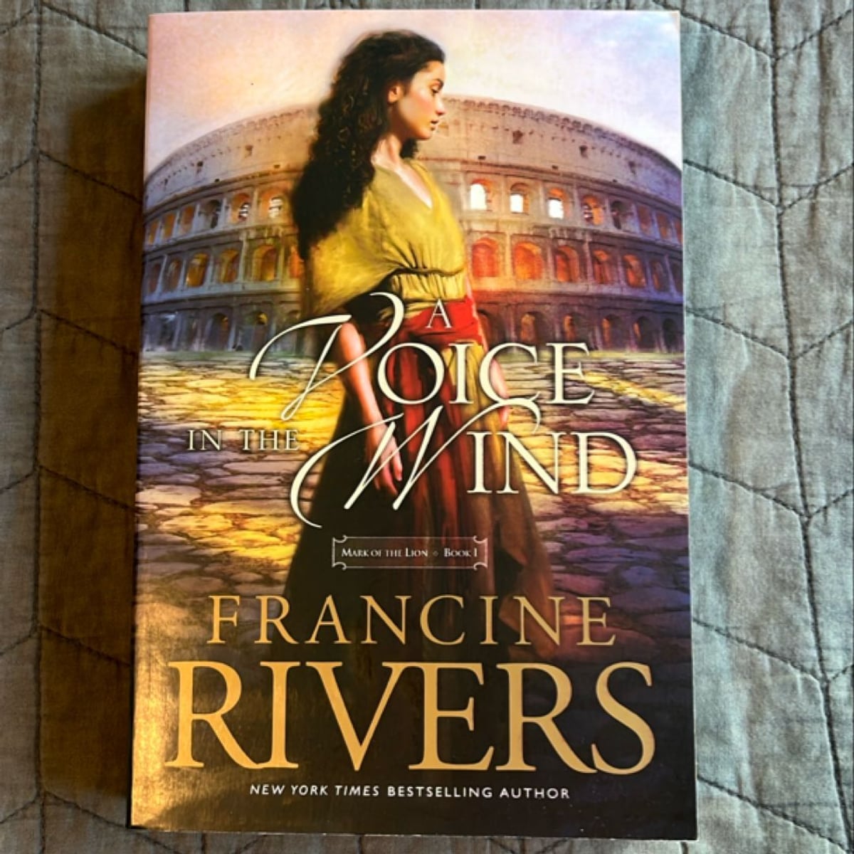 A Voice in the Wind by Francine Rivers