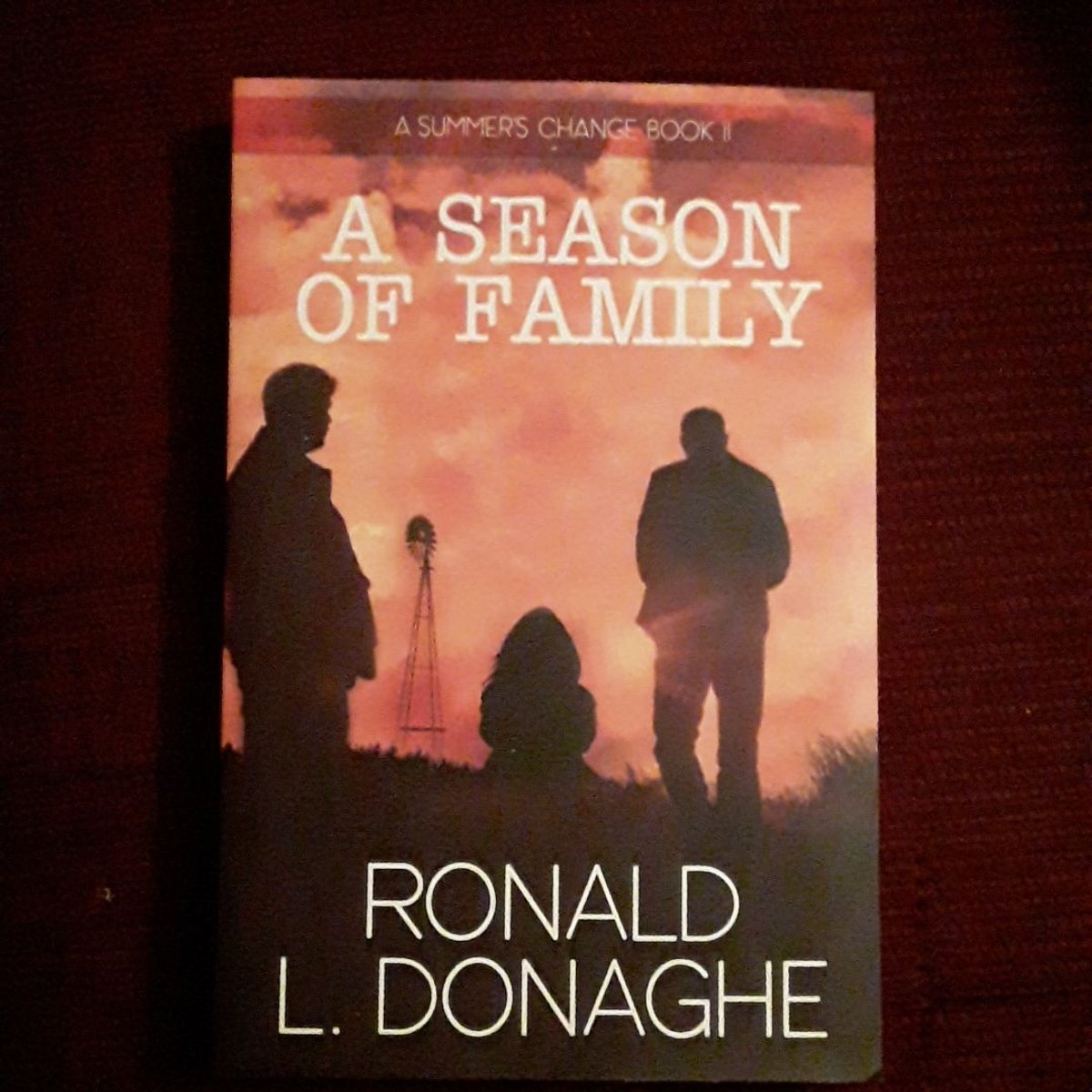 A Summer's Change Book II by Ronald Donaghe