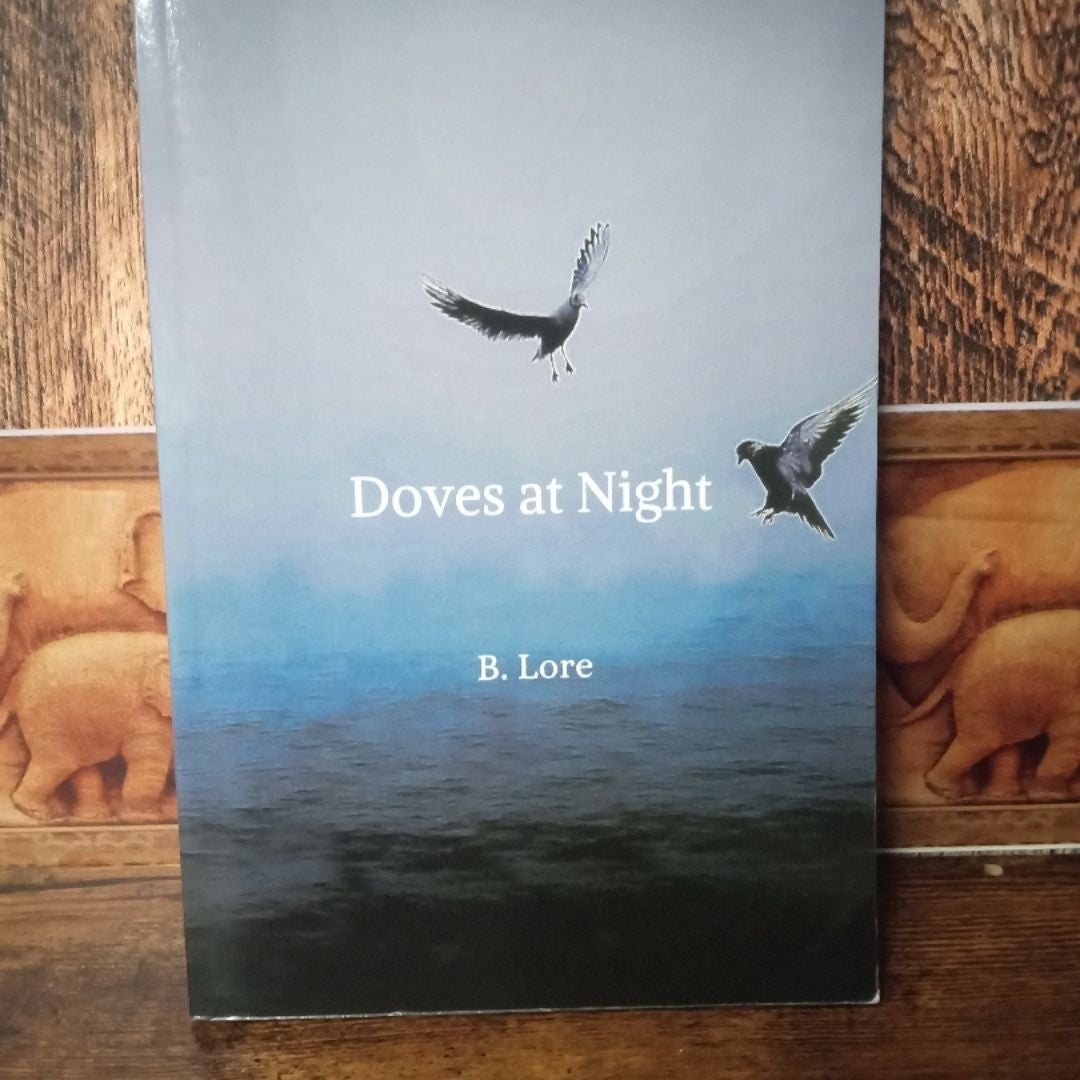 Doves at Night by B. Lore