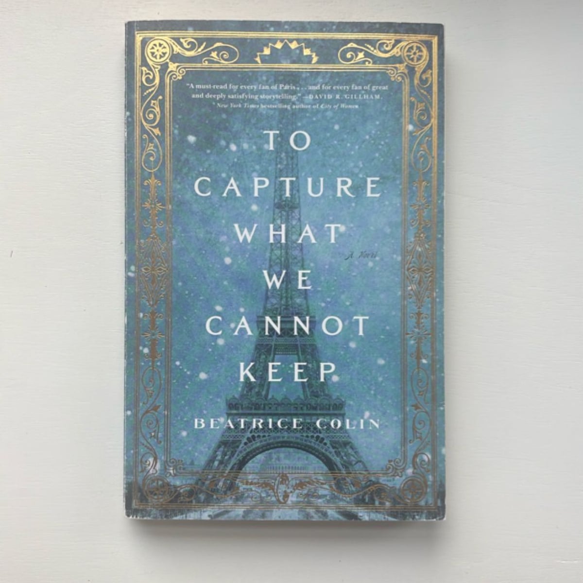 To Capture What We Cannot Keep by Beatrice Colin