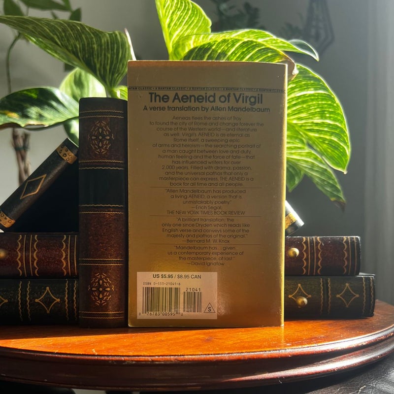 The Aeneid of Virgil by Allen Mandelbaum, Paperback | Pangobooks