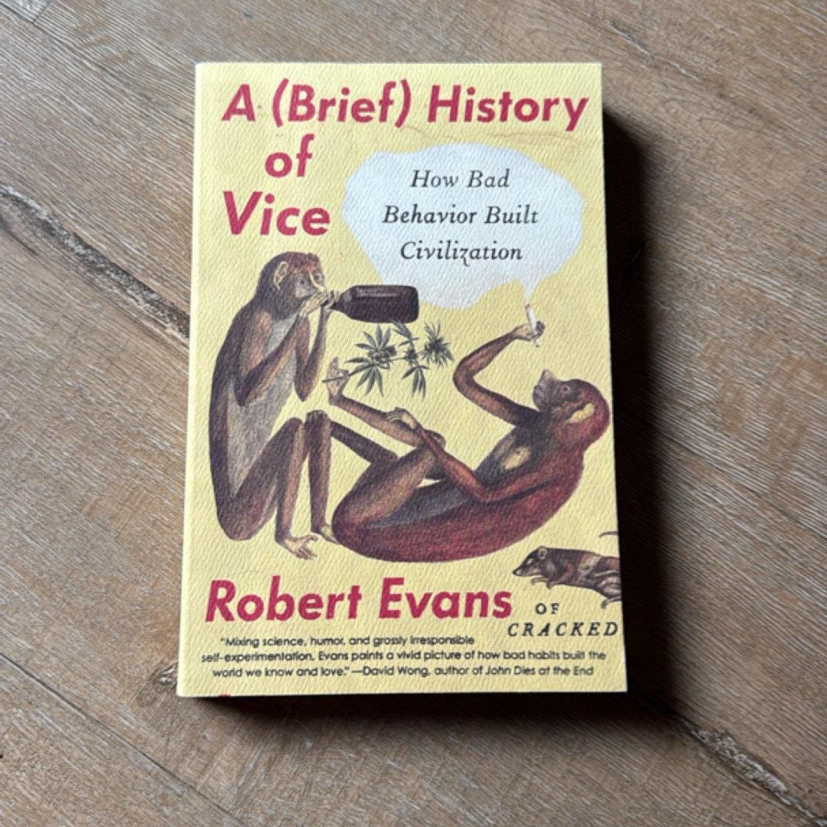 A Brief History of Vice by Robert Evans