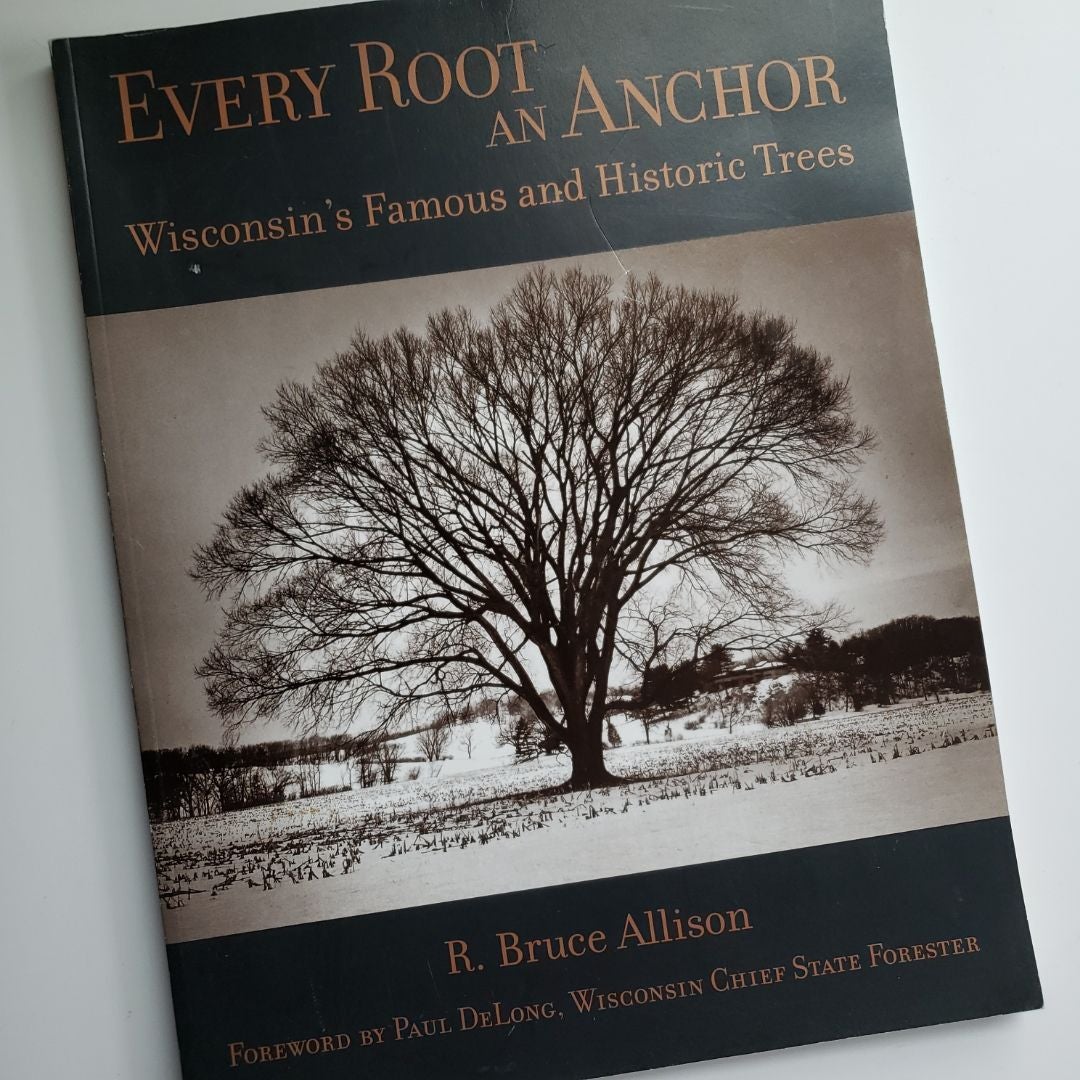 Every Root an Anchor by R. Bruce Allison, Paul DeLong