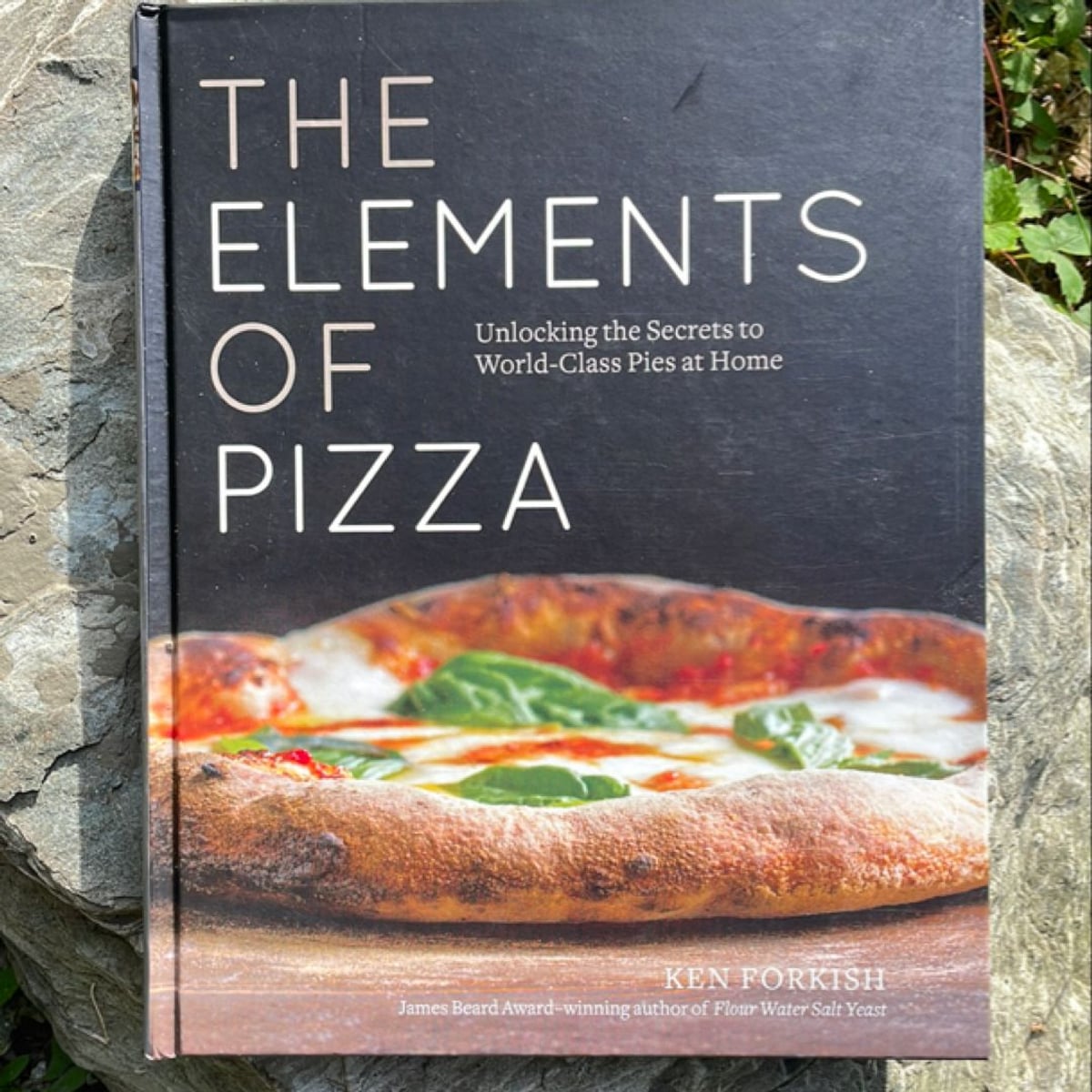 The Elements of Pizza by Ken Forkish