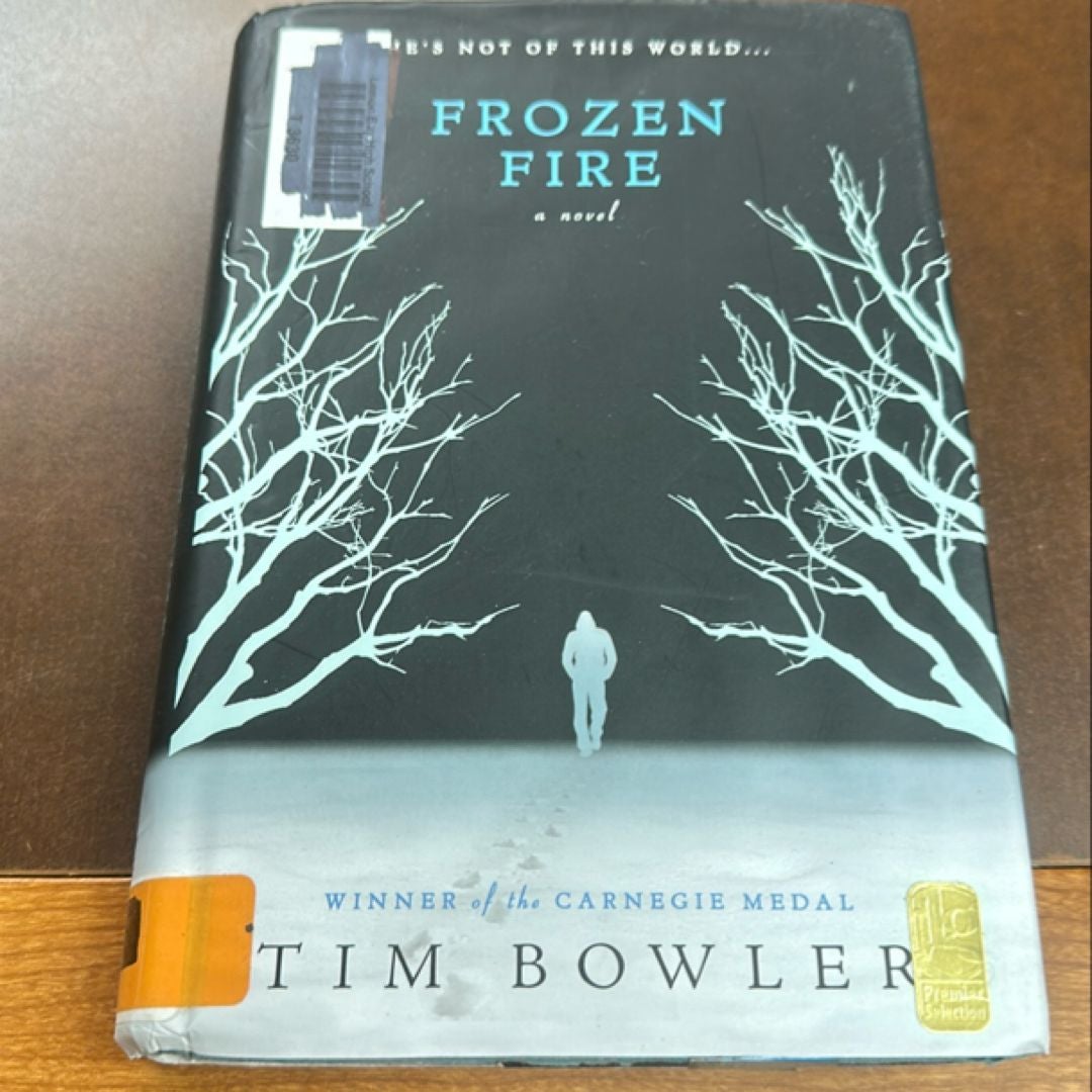 Frozen Fire by Tim Bowler