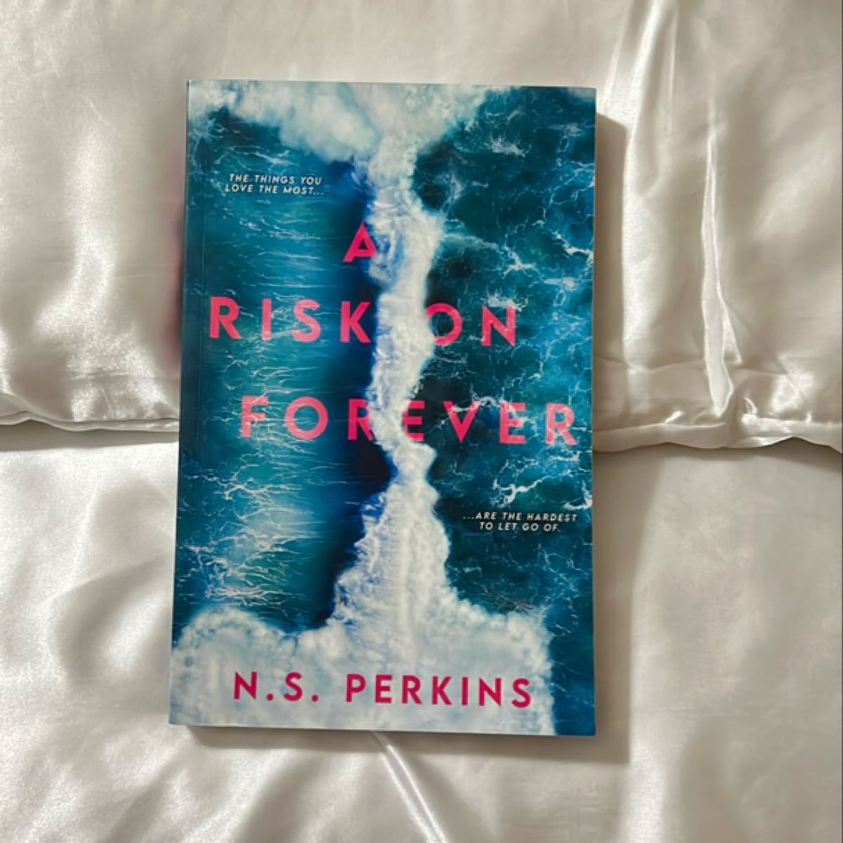 A Risk on Forever by N. S. Perkins