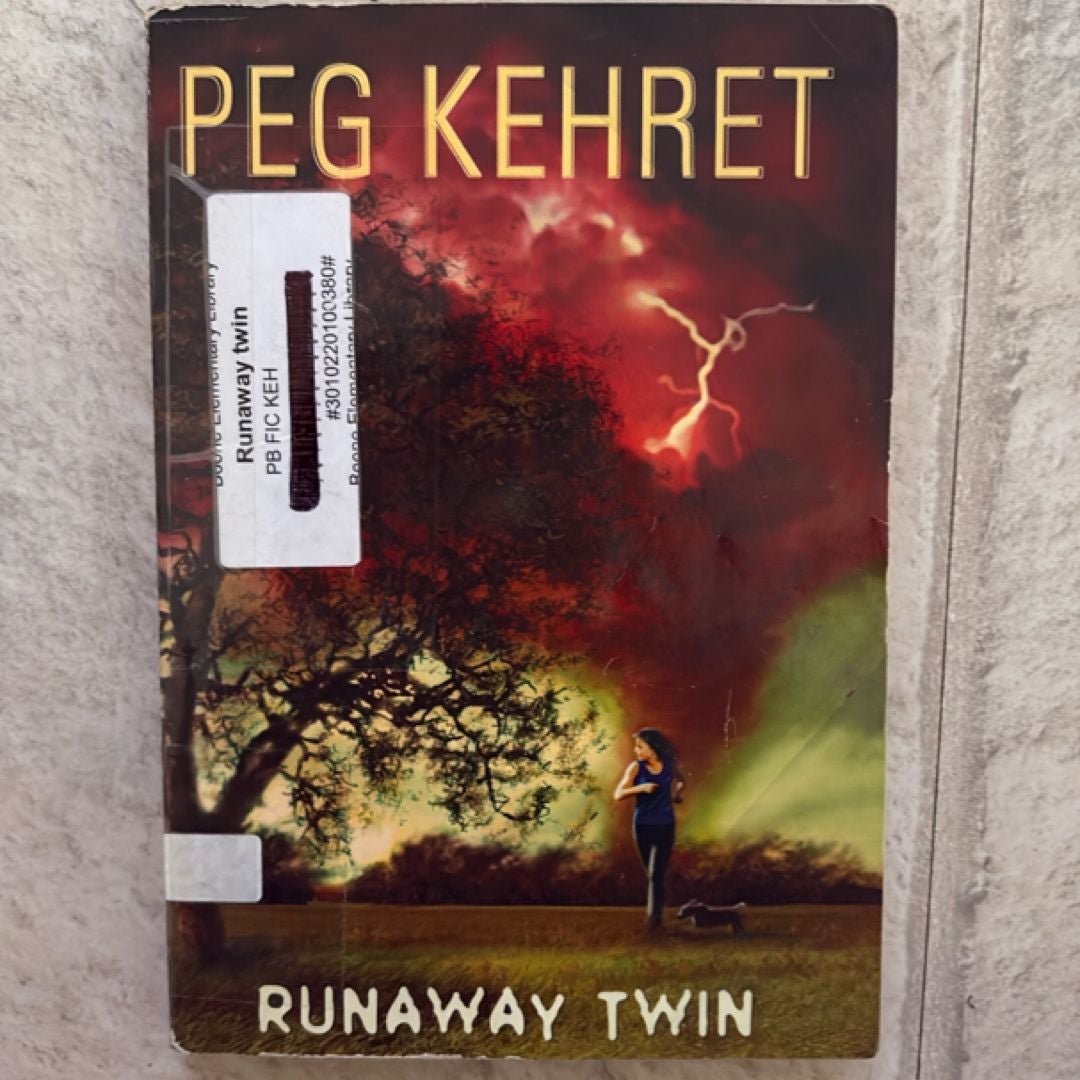 Runaway Twin by Peg Kehret