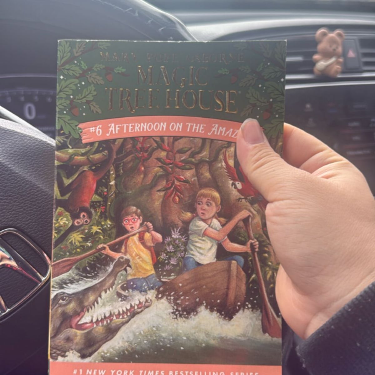 Afternoon on the Amazon by Mary Pope Osborne