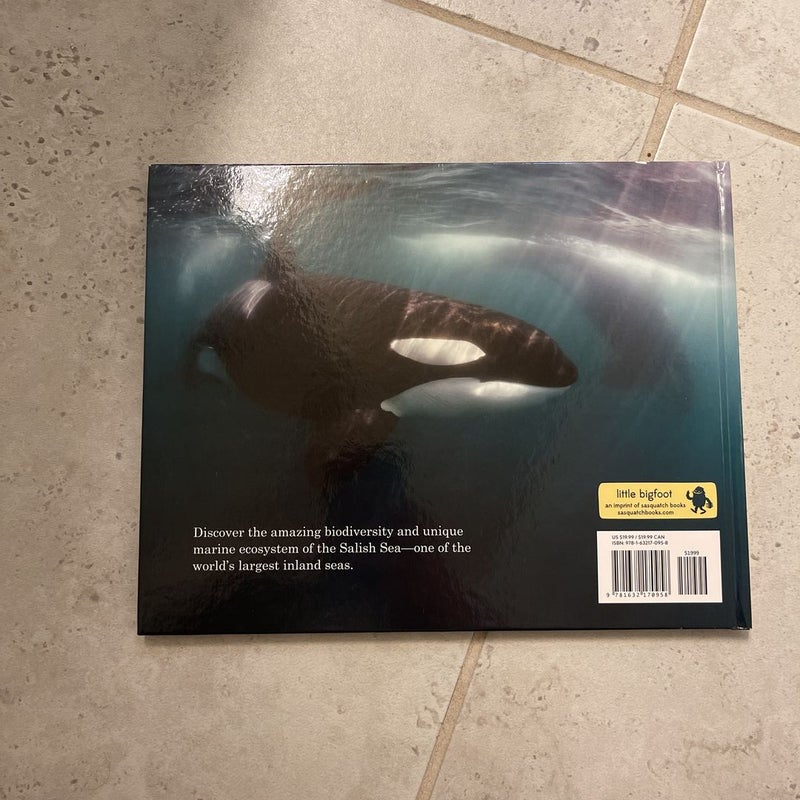 Explore the Salish Sea by Joseph K. Gaydos, Audrey DeLella Benedict