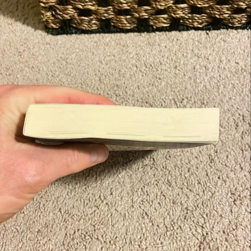 Never the Wind by Francesco Dimitri