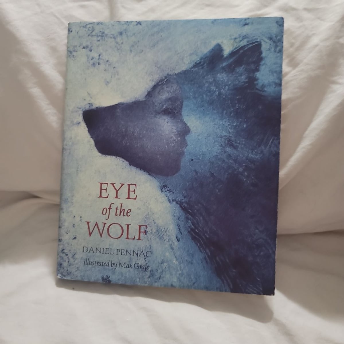 Eye of the Wolf by Daniel Pennac, Sarah Adams