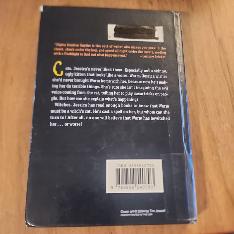 The Witches of Worm by Zilpha Keatley Snyder