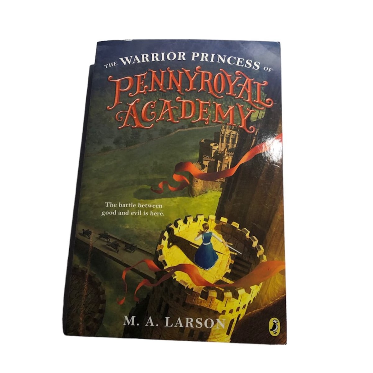 The Warrior Princess of Pennyroyal Academy by M. A. Larson