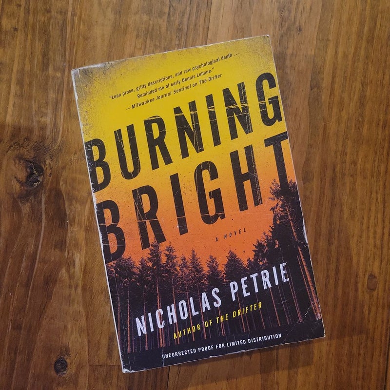 Burning Bright by Nick Petrie