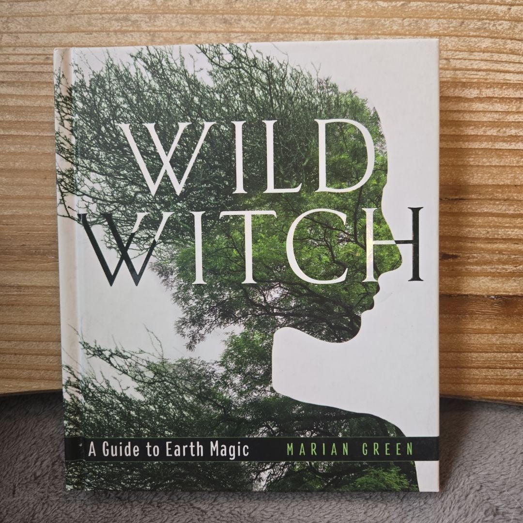 Wild Witch by Marian Green