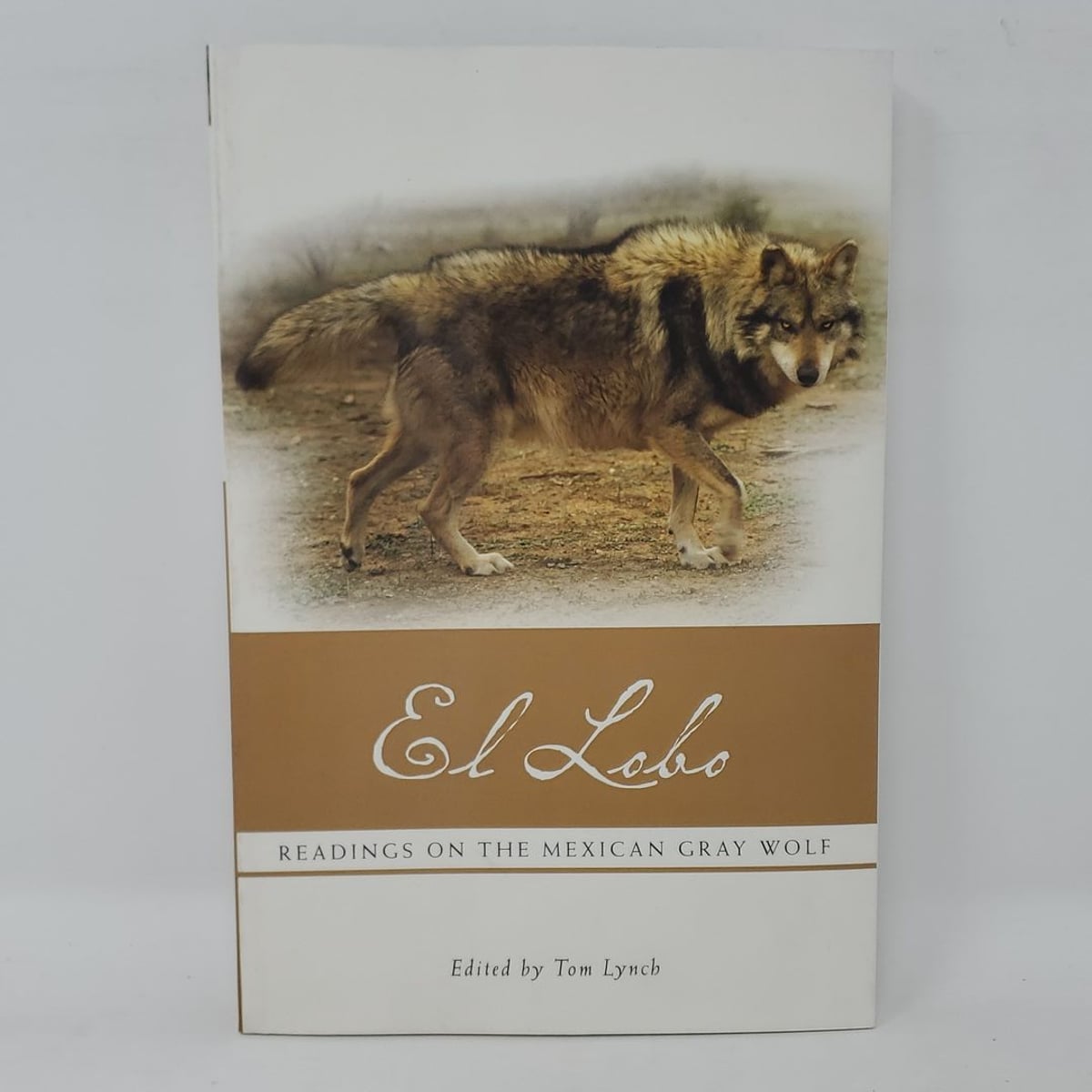 El Lobo by Tom Lynch