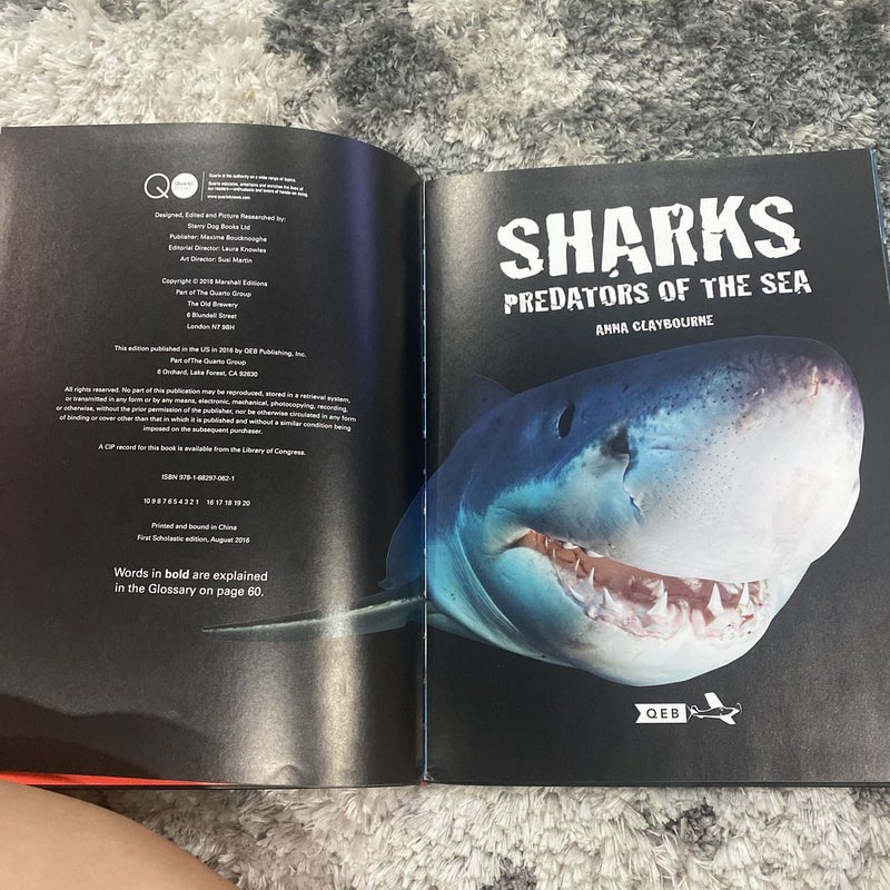 Sharks: Predators of The Sea by Anna Claybourne, Paperback | Pangobooks