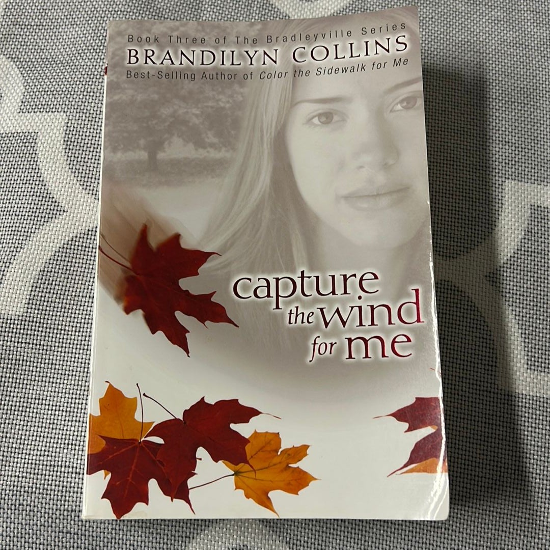 Capture the Wind for Me by Brandilyn Collins