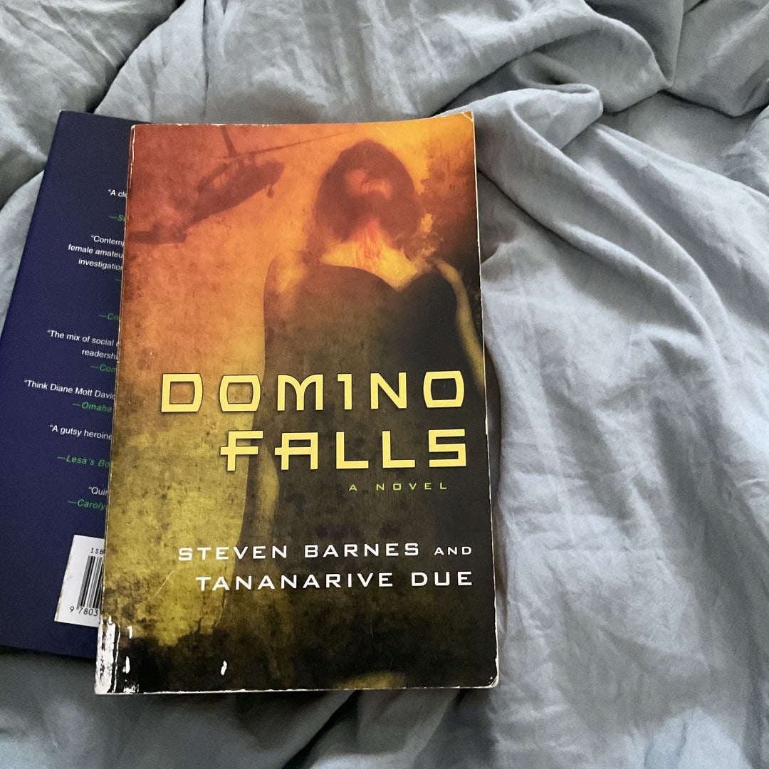Domino Falls by Steven Barnes, Tananarive Due