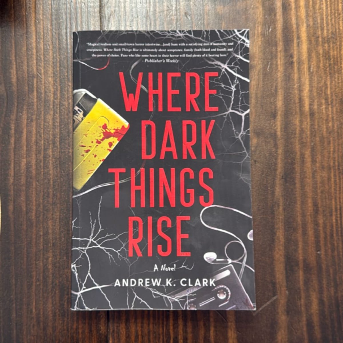 Where Dark Things Rise by Andrew K. Clark