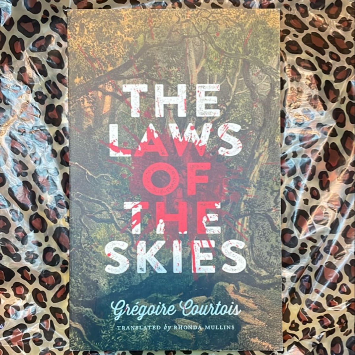 The Laws of the Skies by Gregoire Courtois, Rhonda Mullins