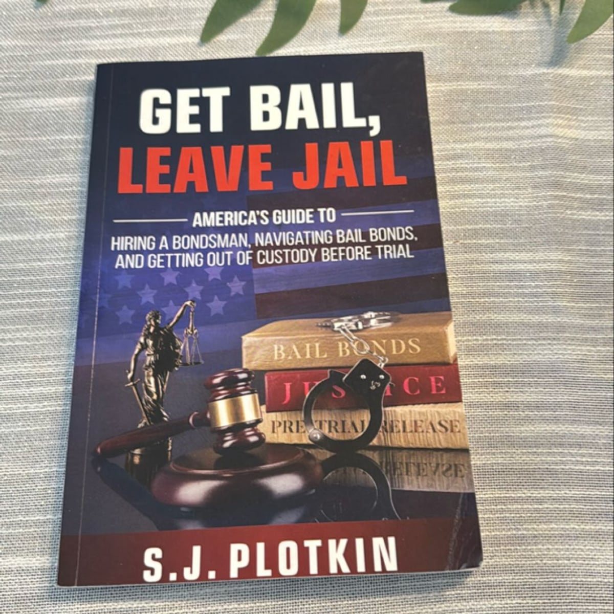 Get Bail, Leave Jail by S. J. Plotkin