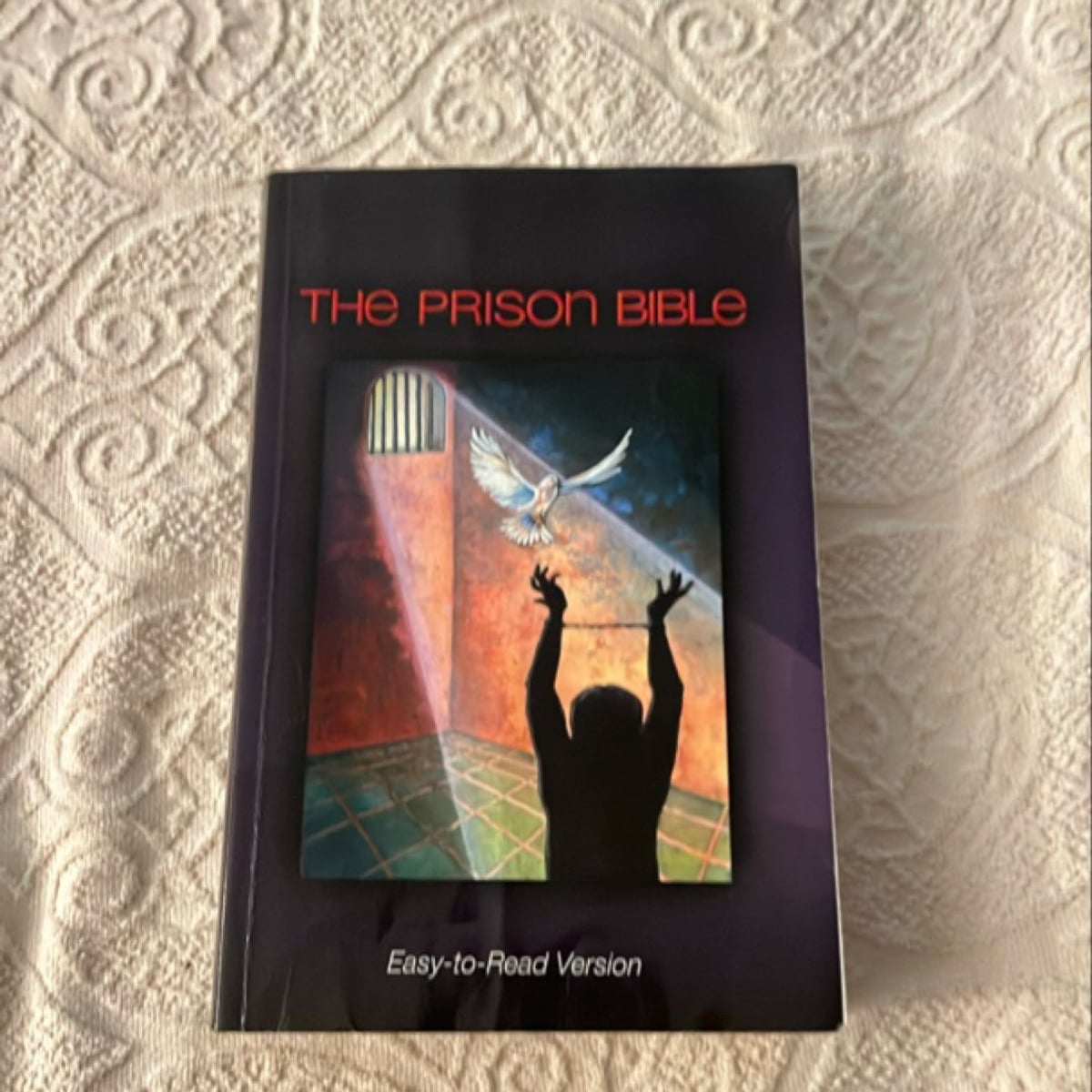 The Prison Bible by